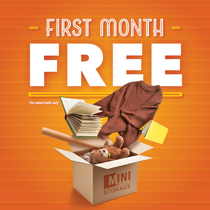 20 Cheap Self-Storage Units Near Ottawa, ON | 1st Month $0